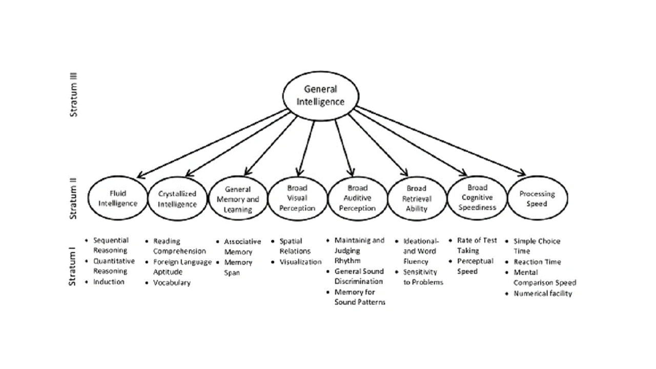 CHC Model Explained: Gf, Gc, Gwm & Abilities | ACIS